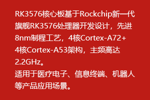 瑞芯微RK3576，RK3576，RK3576核心板，RK3576开发板，RK3576J，rockchip rk3576 - 广州眺望电子科技有限公司